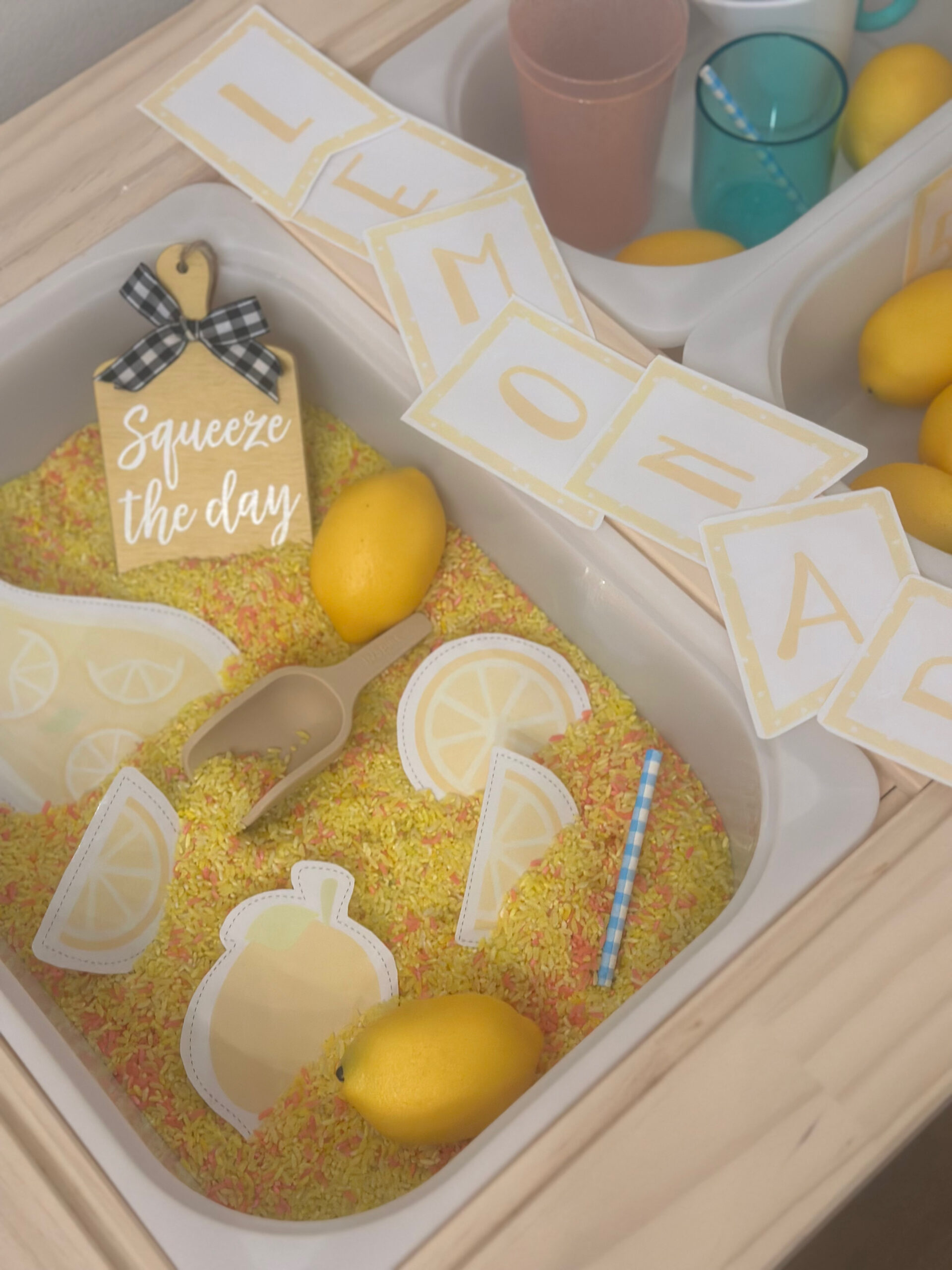 Spring Sensory Bin Ideas - Styl'd Grace
